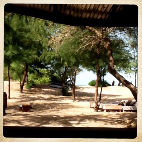 Gambia coastline walk: 1st Stop – an island paradise – Jinack Island ...