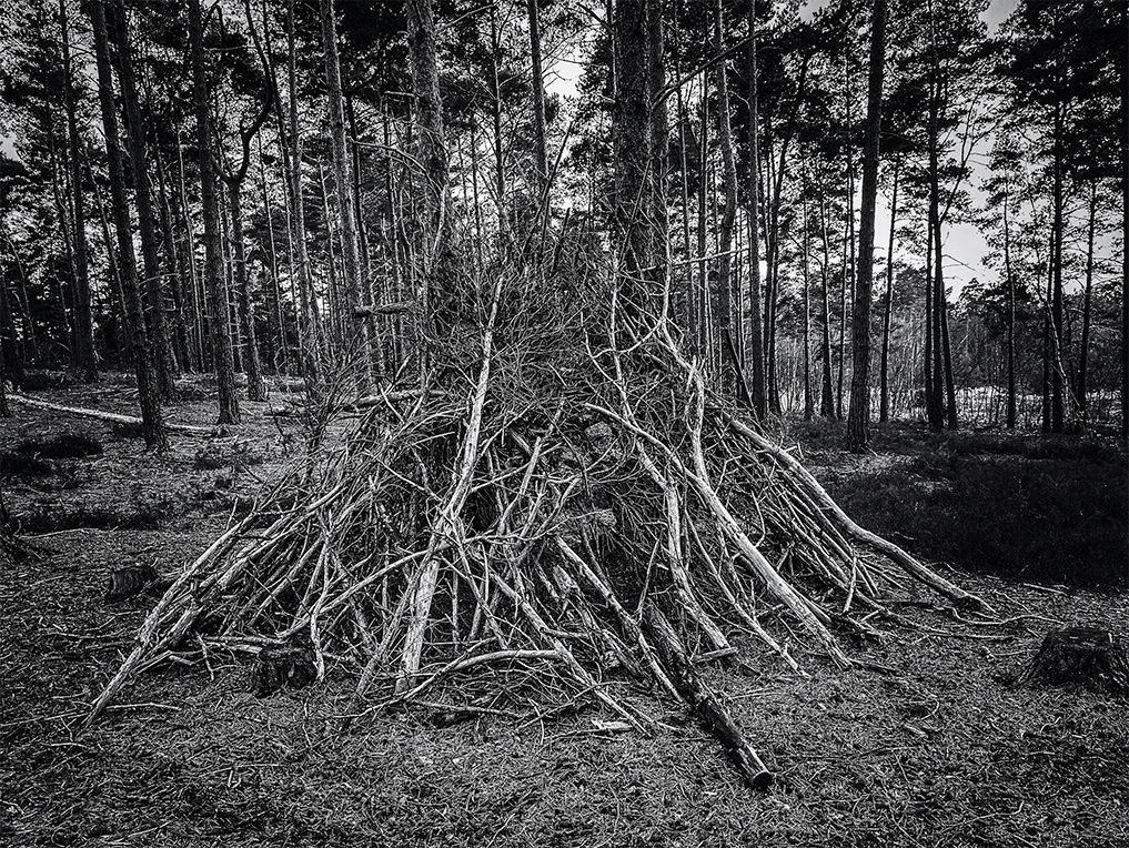 Photo of the Day: The wonder of the woods. Image ©Jason Florio – PHOTOS ...